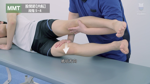 MMT 股関節 伸展 大殿筋だけを分離 ｜ Medical*Online Video